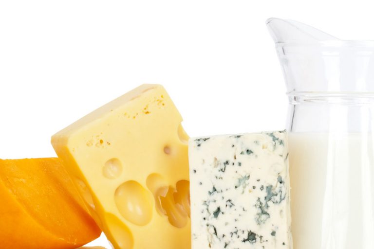 Processors and Specialty Foods | Food Safety